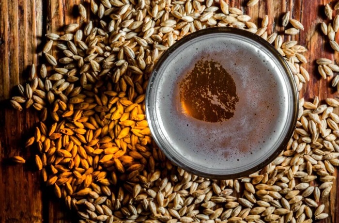El papel fundamental de la malta en la elaboración de la cerveza - Guía ...