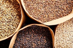 ¿Qué son las maltas base y las maltas especiales para elaborar cerveza ...