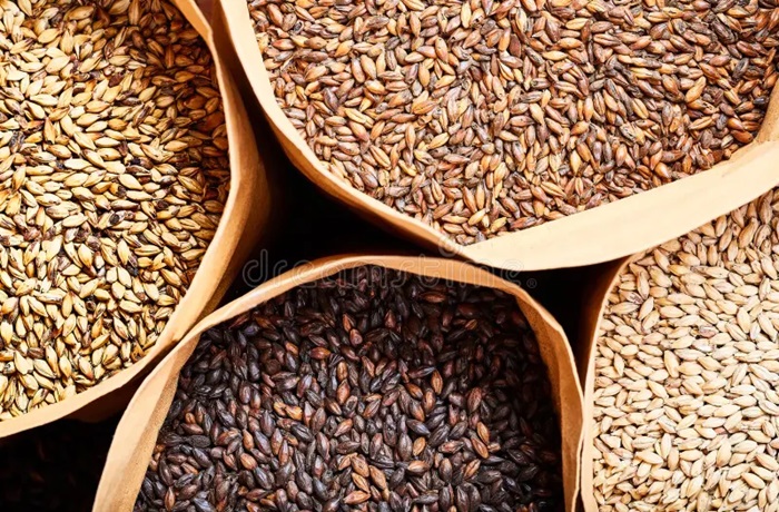 ¿Qué son las maltas base y las maltas especiales para elaborar cerveza ...